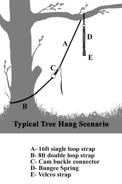 Bungee Spring Kit | Spring Pole – Tugmutt